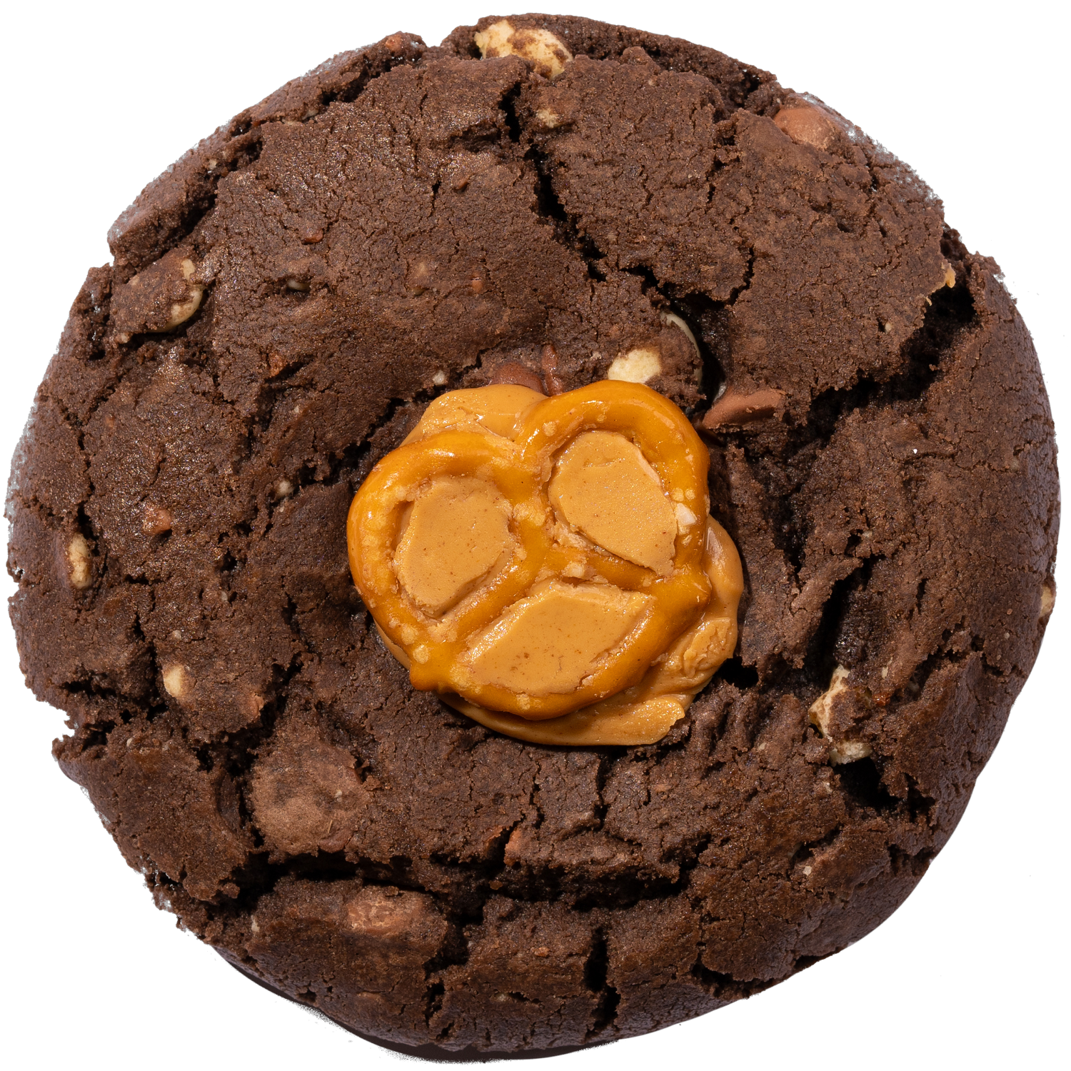 Native American Cookies Profil Untuk T Rex Cookie Company, LLC
